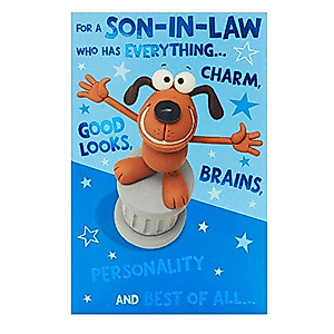 Cute Funny Son-In-Law Birthday Greeting Card Crackers Range Cards New