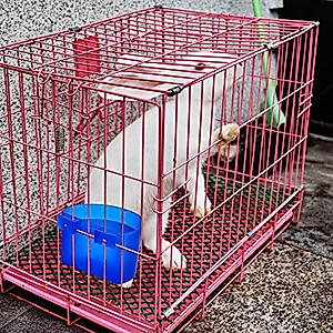 30 Pcs Cage Cups Bird Feeders Chicken Water Feeder Bunny Food Bowl Plastic Seed Bowl Hanging Chicken Feeding Watering Dish Feeders, Bird Cage Feeding Cups for Parrot Parakeet Pet Poultry Pigeon, Blue