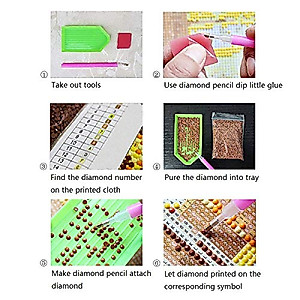 Diamond Painting Kits for Adults and Kids,6 Pack DIY 5D Diamond Painting Kits,Full Drill DIY Animals Paint by Number Diamond Art Paintings Home Wall Decor (16x12inch/40x30cm)