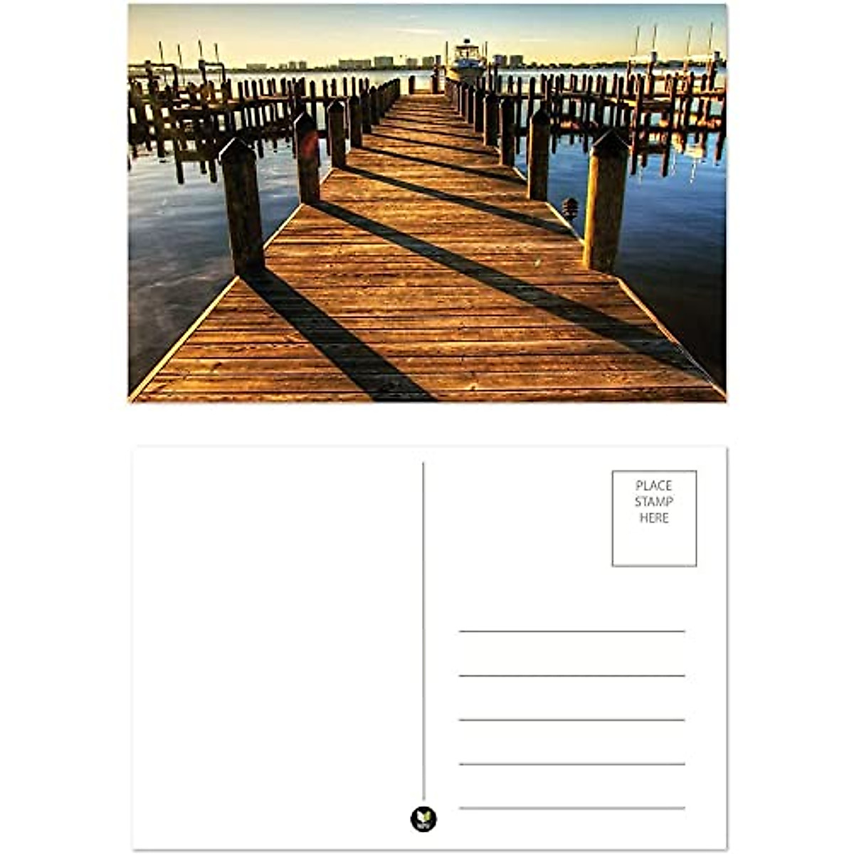 Best Paper Greetings 40 Pack Bulk Animal and Travel Postcards From Around the World for Mailing, Assorted Nature Thank You Notes (4 x 6 In)