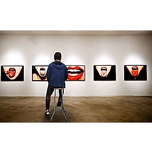 Houston Metro Area Map - 20 Inch by 30 Inch Laminated Poster With Bright Colors And Vivid Imagery-Fits Perfectly In Many Attractive Frames