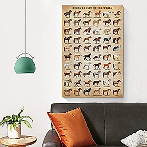 Horse Knowledge Horse Breeds of The World Poster Framed 12x16inch