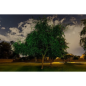 Sparkle Magic Green Commercial Grade Laser Light, Landscape Laser Lights, Christmas Laser Lights