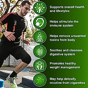 Strip 5 Day Permanent Detox Cleanse - Complete Body Cleansing Kit - Toxin Rid - Detox with Burdock, Dandelion, Red Clover Blossom, Alfalfa, Slippery Elm - 40 Capsules, 2 Pack