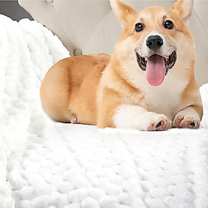 DREAMNINE Decorative Soft Plush Fleece Throw Blanket for Couch Sofa 50" x 60", Luxury Shaggy Lightweight 3D Pattern Velvet Flannel Blanket for Bedroom, Solid Cute Warm Lap Blanket for Winter Pet,White