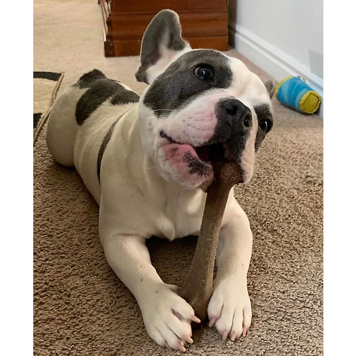 Ethical Pets SPOT 54319 Bambone Bone Bacon Pet Chew Toys