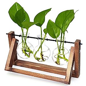 Ivolador Desktop Propagation Station, Bulb Plant Terrarium with Retro Solid Wooden Stand and Metal Swivel Holder for Hydroponics Plants Home Garden Wedding Decor (3 Bulb)