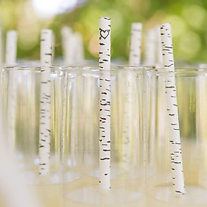 Birch Bark Love Print Paper Drinking Straw (Pack of 25)