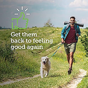 Vetality Canine Aspirin for Dogs | Fast Pain Relief | Large Dogs | Liver Flavor | 120 Chewable Tablets