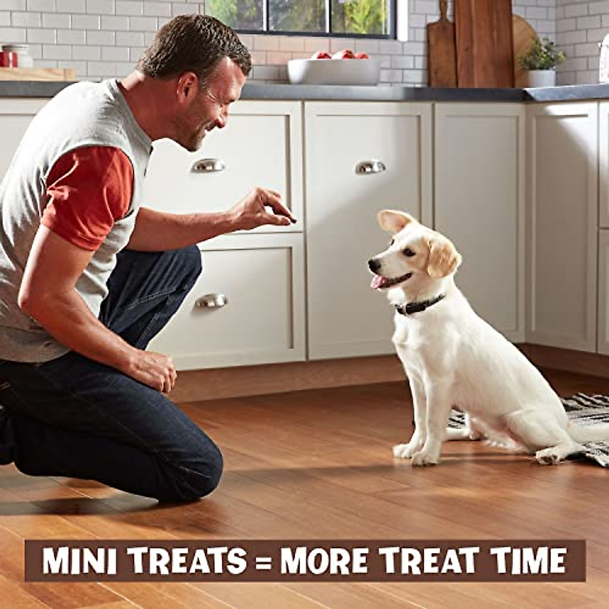 Pup-Peroni Original Beef Flavored Mini Dog Treats, 22.5 Ounce