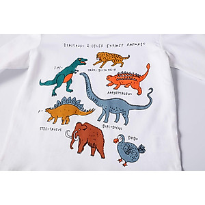 Boy Tee Raglan Long Sleeve Crewneck T Shirt Blue Red Yellow Cartton Car Winter Shirt 3 Pack Set Size 7