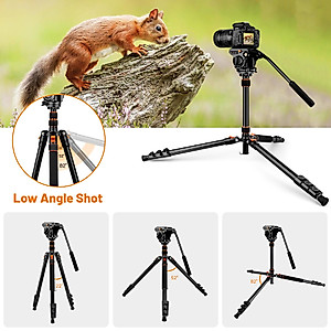 Camera Tripod Fluid Head, Heavy Duty Camera Tripod Stand 72", Professional Video Tripod for Canon Nikon DSLR Cameras Camcorders, Aluminum Tripod Stand with Carry Bag, Complete Tripod Units