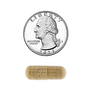 Maintain Healthy Blood Sugar Levels with Spring Valley's Dietary Supplement. Includes Luall Fridge Magnetic + Spring Valley Blood Sugar Support Dietary Supplement, 30 Count