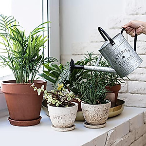 Garutom Galvanized Watering Can for Outdoor Plants, 1 Gallon Decorative Countryside Style Watering Can with Removable Spout, Perfect Metal Watering Can for Indoor Plants and Garden Flower