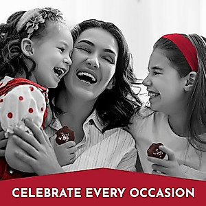 Fannie May, Dark Chocolate Candy, Dark Chocolate Assortment, 8.3 Oz Gift Box