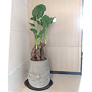 SAUCERHOME Plant Saucer 16 inch, 4 Pack 17 inch (16.8") Plastic Large Flower Planter Plant Pot Saucers and Drip Tray for Indoors Outdoors, Thick Heavy Sturdy Durable Plant Plate Water Catcher (Black)