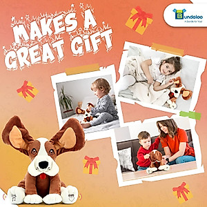 Bundaloo Animated Plush Peek A Boo Singing Dog with Floppy Ears | Plays Peek-A-Boo with Ears & Sings Do Your Ears Hang Low