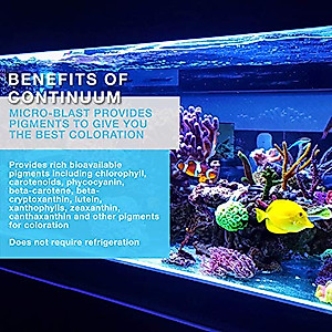 Continuum Aquatics Brightwell Aquatics Micro-Blast - invertebrate food for live corals, feather dusters, gorgonians, and other fine filter feeders, 500 ml