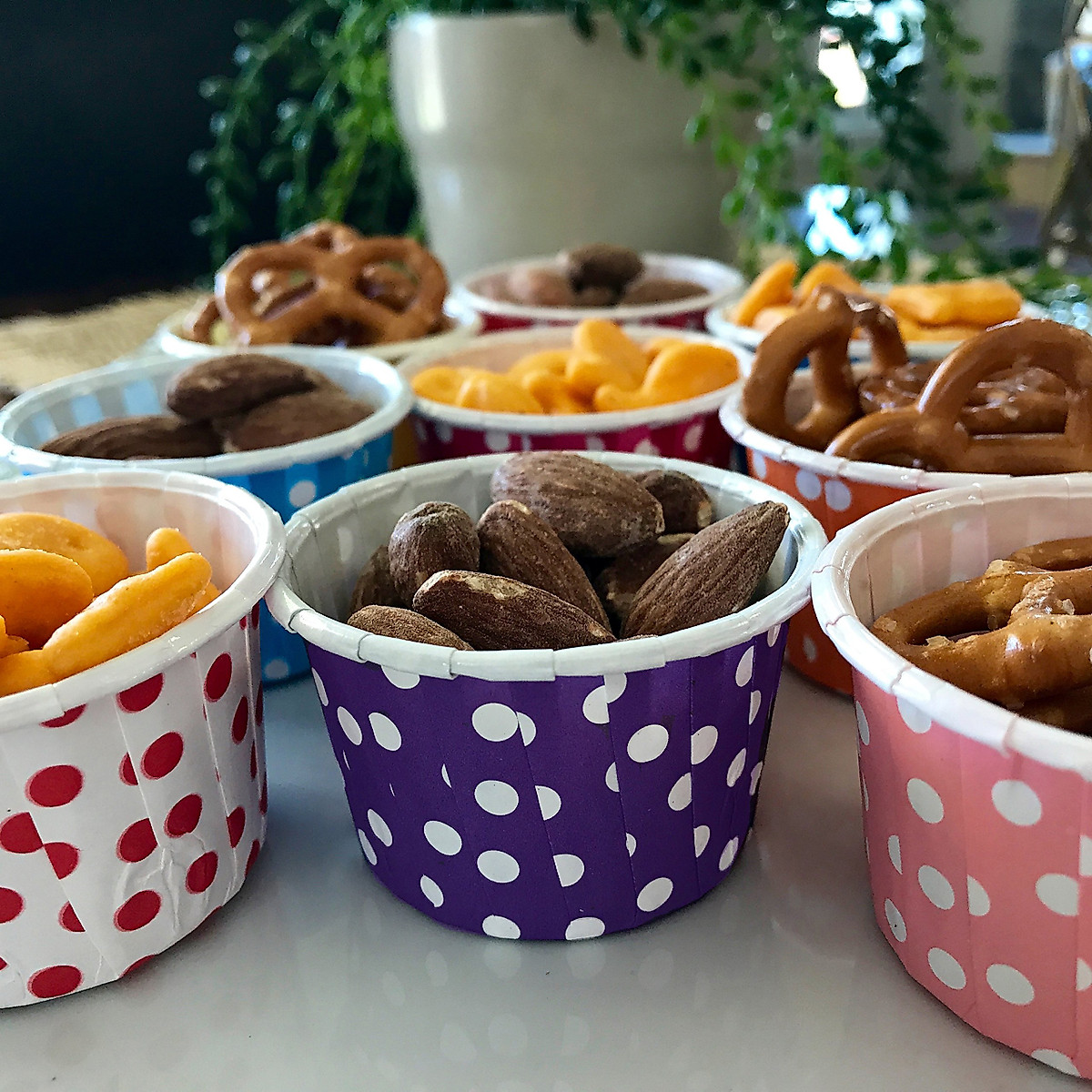 Bulk Candy Nut Mini Baking Cups - Blue White Dot - 100 Pack