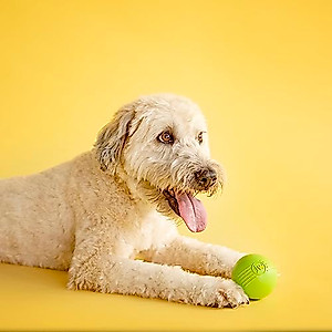 JW Pet Dog Isqueak Ball Large, Colors May Vary