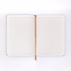 DesignWorks Ink Vegan Suede Flexible Cloth Journal Notebook with 192 Lined Pages and Ribbon Bookmark for Work, Writing, Journaling - 5.75" x 8" Mint Green Journal