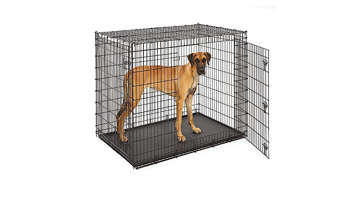 Ginormous XXL Dog Crate for Great Danes & Mastiffs