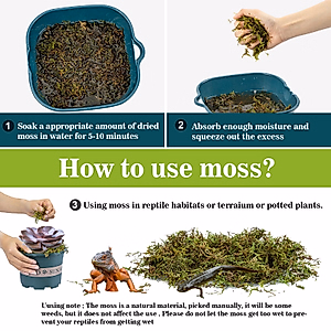 Sukh Sphagnum Moss for Reptiles - Terrarium Moss for Reptiles Peat Moss for Reptiles Habitat Bedding Moss for Snakes Turtle Frog Gecko and Other Reptiles Substrate (3, Ounces)