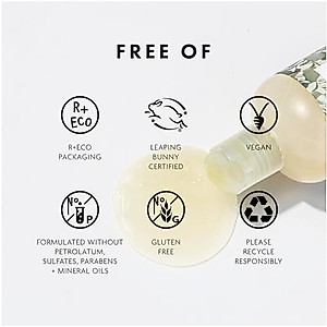 R+Co Dallas Biotin Thickening Shampoo | Thickens, Nourishes + Strengthens | Vegan + Cruelty-Free | 8.5 Oz