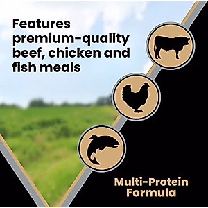 Victor Super Premium Dog Food – Purpose - Senior Healthy Weight – Gluten Free Weight Management Dry Dog Food for Senior Dogs with Glucosamine and Chondroitin, for Hip and Joint Health, 15lbs