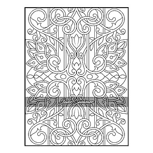 100 Amazing Patterns: An Adult Coloring Book with Fun, Easy, and Relaxing Coloring Pages