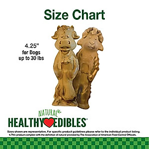 Nylabone Healthy Edibles All-Natural Puppy Chew Treats for Large Breed Puppies Lamb & Apple Medium 2 Count (Pack of 1)