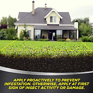 Amdro 100526851 Quick Kill Home Perimeter Insect Killer Granules, 2 lb, Clear