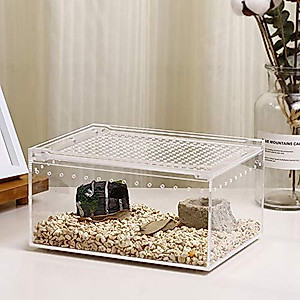 NANEEZOO Magnetic Acrylic Reptile Case - 8"x6"x4" Flat Long Enclosure Transparent Reptile Breeding Box Terrarium Cage - for Tarantula Scorpion Sling Isopods Invertebrates & Insect Mantis