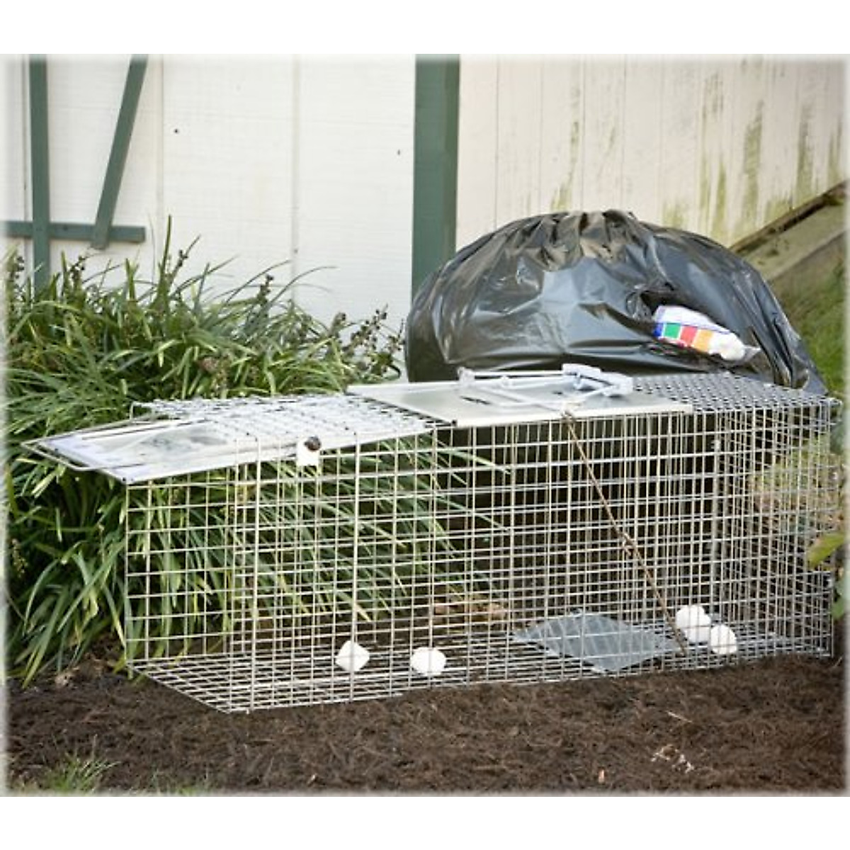 Havahart 1085 Large 1-Door Easy Set & Release Humane Live Animal Trap for Armadillos, Cats, Groundhogs, Muskrats, Nutria, Opossums, Racoons, Skunks, and Other Similar-Sized Animals