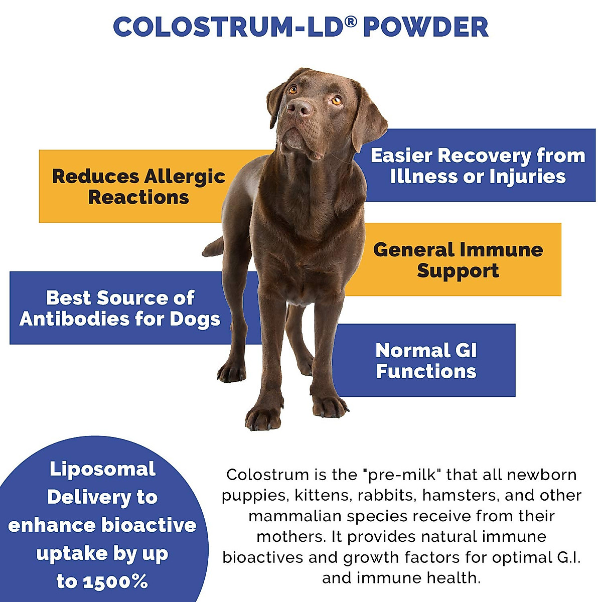 Veterinarian Approved Super Pet Nutrition - for Dogs and Cats - Liposomal Bovine Colostrum, Rich in Immunoglobulins (25%+), Support for Immune and Digestive Systems, Allergies (50 Grams)