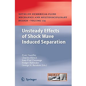 Unsteady Effects of Shock Wave induced Separation (Notes on Numerical Fluid Mechanics and Multidisciplinary Design, 114)