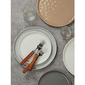 famiware Mars 4 Pieces Dinner Plates, 10.25 inch Plate Set, Scratch Resistant, Stoneware Dinnerware, Kitchen Modern Rustic Serving Dishes, Multi-color