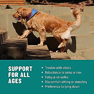 Glucosamine for Dogs Soft Chews 120 ct - Hip and Joint Supplement for Dogs with Chondroitin, Turmeric & MSM - Dog Joint Supplement + Vitamin E for Small, Large Breed & Senior Dogs Mobility Support