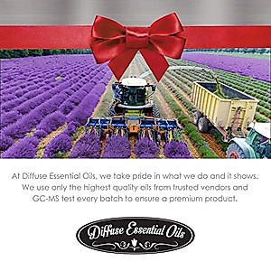 Diffuse Essential Oils 10ml - Pure Peppermint Essential Oil - 0.33 oz