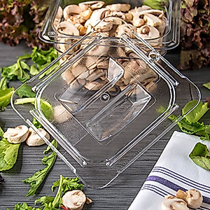 Carlisle FoodService Products 10310U07 StorPlus Sixth Size Polycarbonate Universal Handled Food Pan Lid, Clear