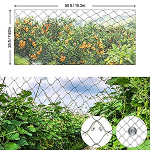 25' X 50' Net Netting for Bird Poultry Aviary Game Pens New 1" Square Mesh Size (25' x 50'-1'')