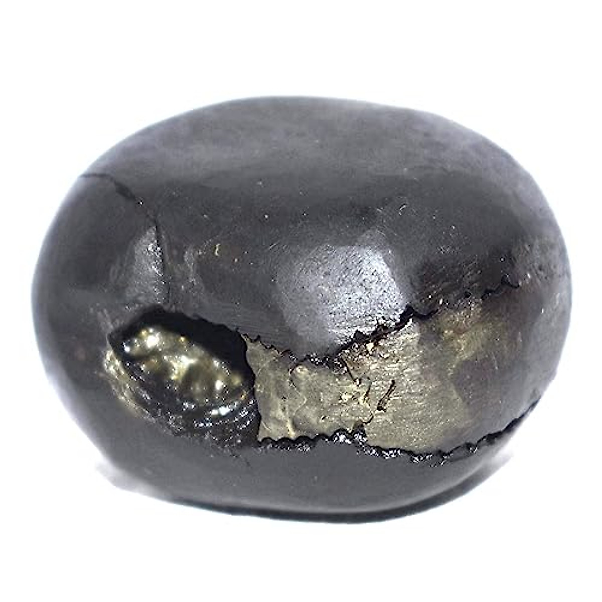 Rudrakshguru Laxmi Narsimha Shaligram