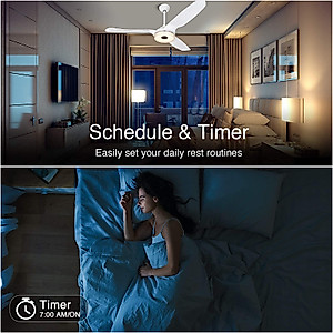 TRIFECTÉ 56 Inch Indoor Ceiling Fan with Light and Remote, Smart Ceiling Fan Compatible with App/Alexa/Google/Siri, Low Profile Ceiling Fan with 10-Speed Reversible Quiet DC Motor, ETL Listed (White)