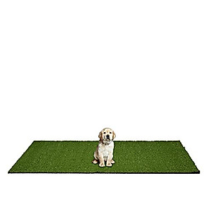 Garland Rug Puppy Pee Pad Artificial Grass Turf Rug, 3 ft x 4 ft, Green