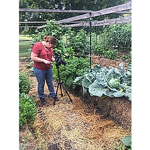 BaleBuster4 Starter Kit Includes Straw Bale Gardens Complete Book with Instructions for Step-by-Step Garden Set up.