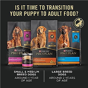 Purina Pro Plan High Protein Puppy Food DHA Lamb & Rice Formula - 18 lb. Bag