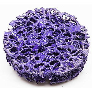 Benchmark Abrasives 2" Quick Change Non Woven Nylon Extra Coarse Strip Discs for Sanding Polishing Paint Removal with Male R-Type Backing Use with Die Grinder - (10 Pack)