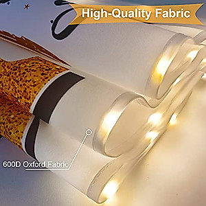 Honkdecor Graduation Decorations Banners with String Light -Class of 2022 White