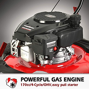 PowerSmart Gas Lawn Mower 21-Inch Self Propelled with 170cc Engine 3-in-1 Walk Behind DB2321SR