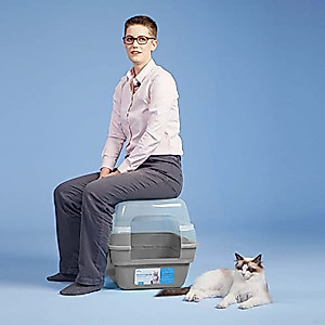Petfamily Cat Litter Box, Large Foldable Jumbo Hooded with Transparent Lid,Grey